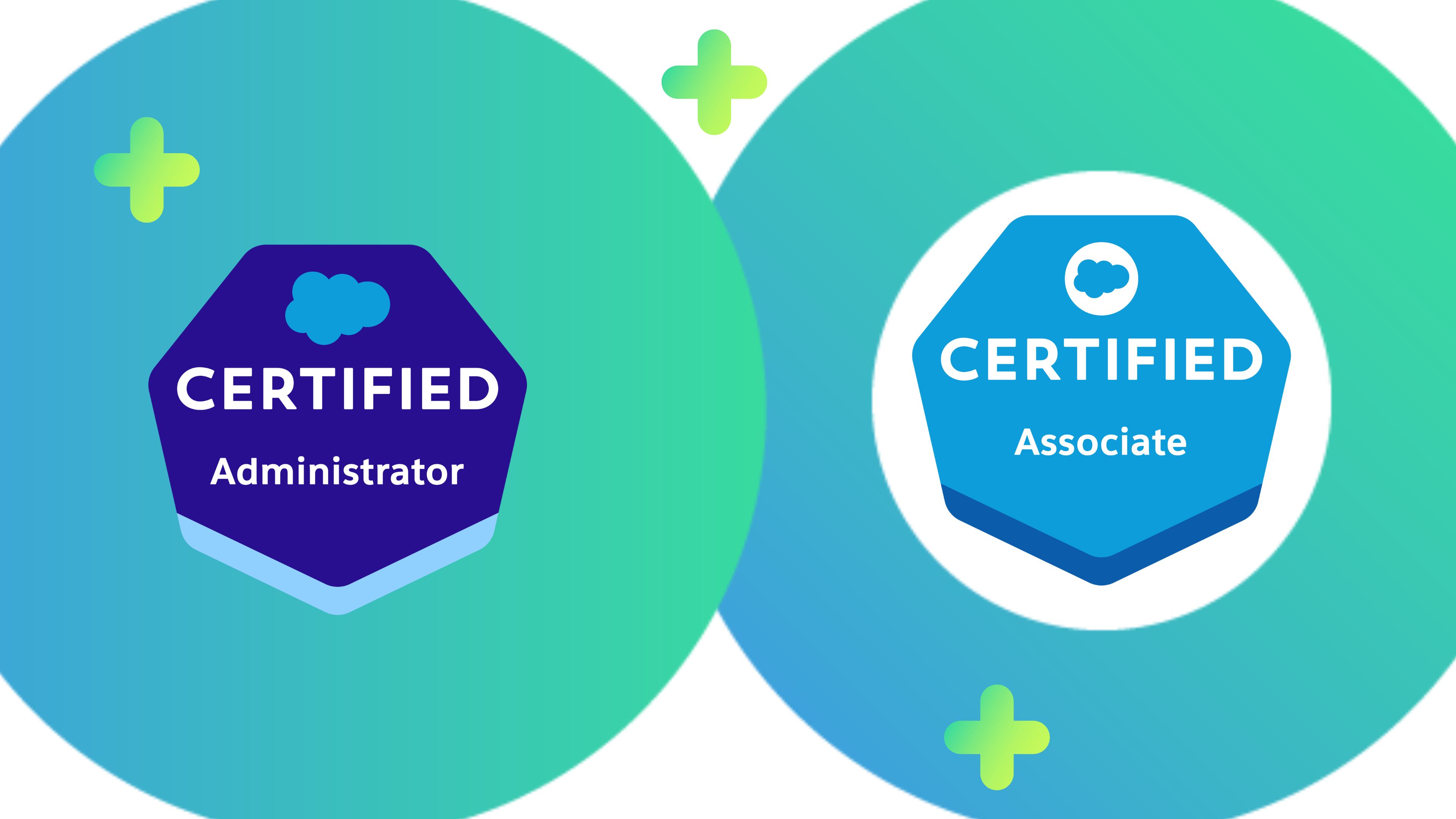 Salesforce Associate Certification - Cloud Coachers